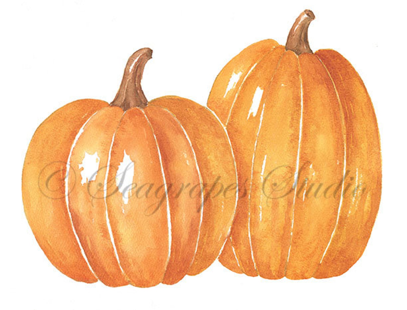 Two Watercolor Pumpkins PNG Clipart, 8x10 Watercolor Print Instant ...