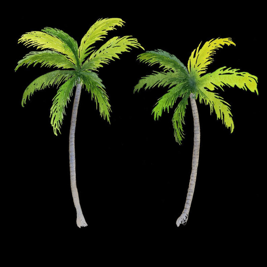 Watercolor Palm Tree Clipart, Tropical PNG Instant Download, Hand ...