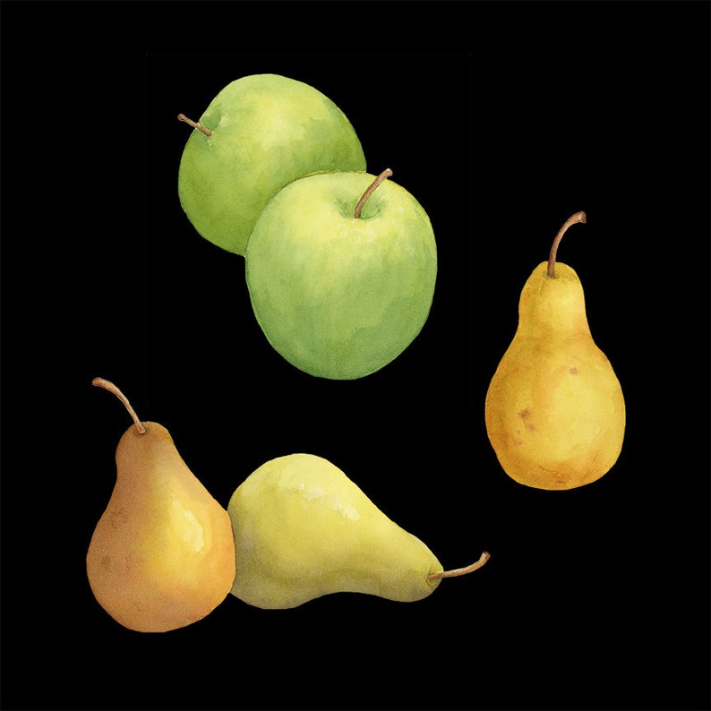 Watercolor Fruit Clipart, 6 Individual PNG Files, Apples Oranges Pears ...