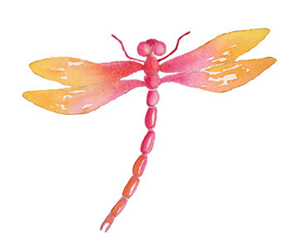 Watercolor Clipart Cattails & Dragonflies Clip Art, Hand Painted ...