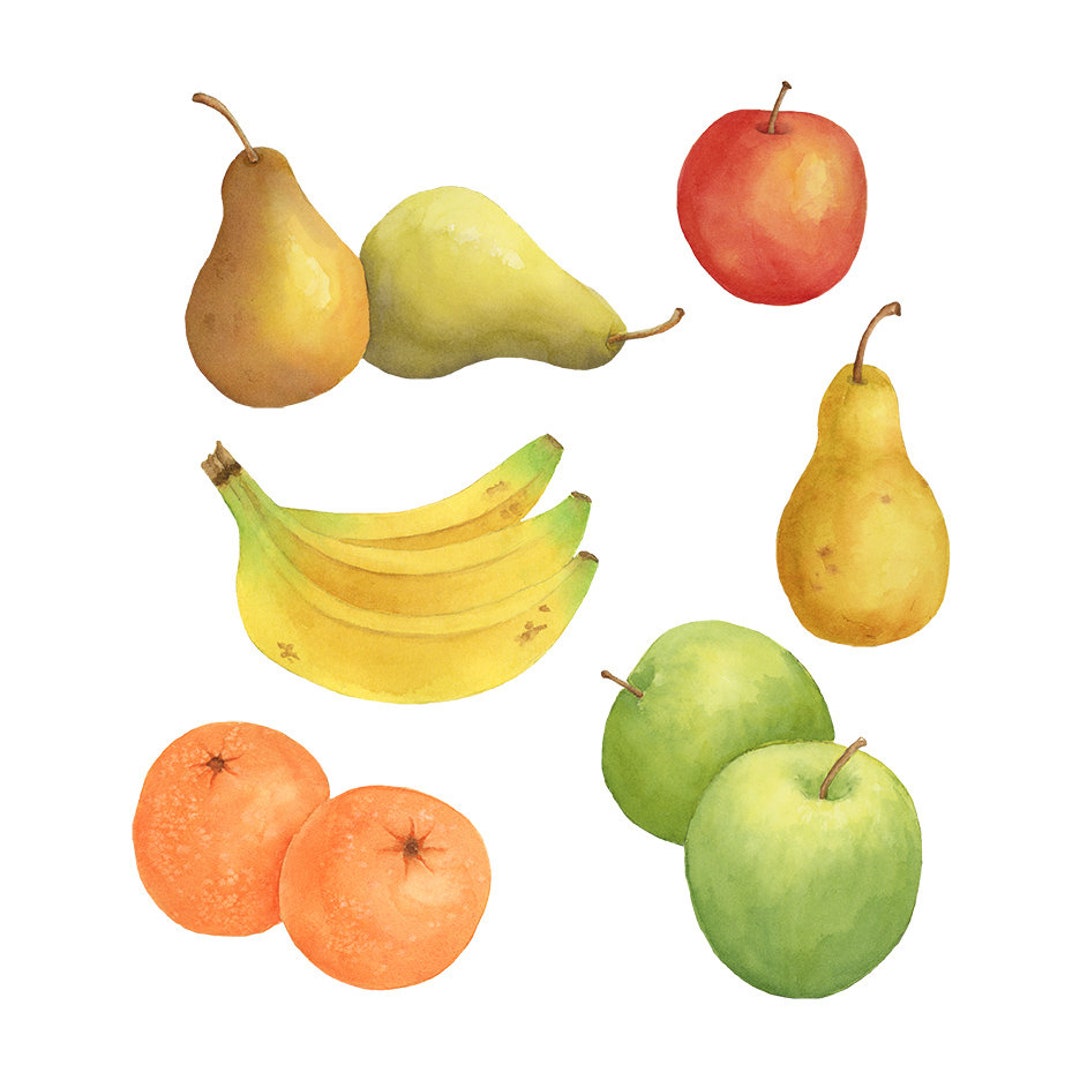 Watercolor Fruit Clipart, 6 Individual PNG Files, Apples Oranges Pears ...