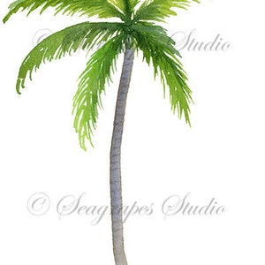Watercolor Palm Tree Clipart, Tropical PNG Instant Download, Hand ...