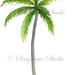 Watercolor Palm Tree Clipart, Tropical PNG Instant Download, Hand ...