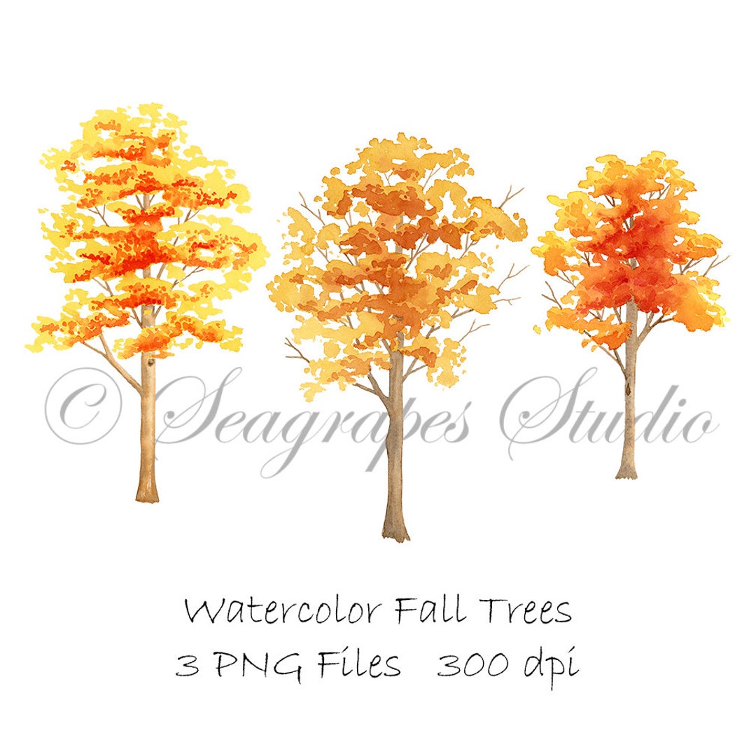 Watercolor Trees Clipart, PNG Instant Download, Hand Painted Fall Trees ...