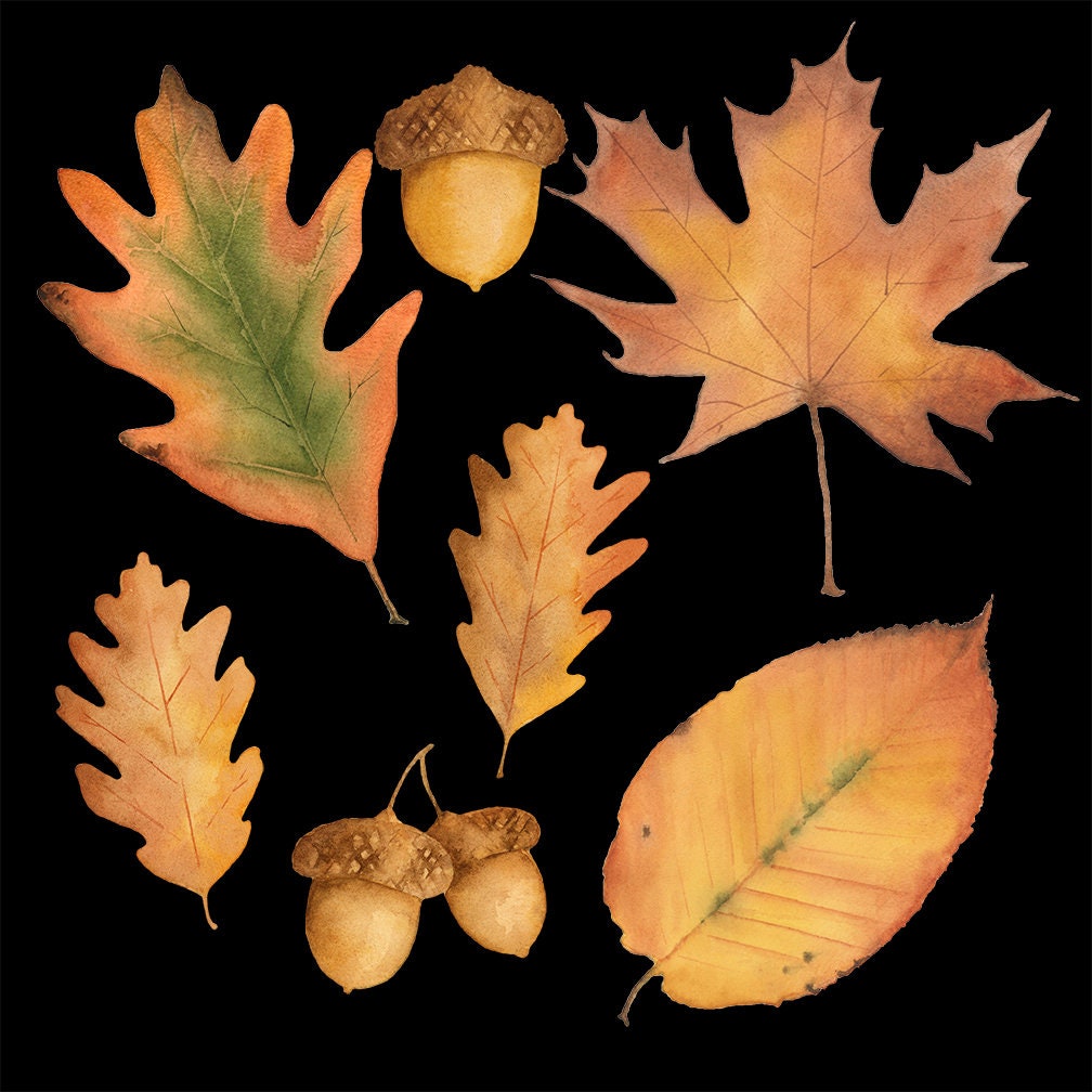 Watercolor Clipart Fall Leaves & Acorns, PNG Leaf Clip Art Instant ...