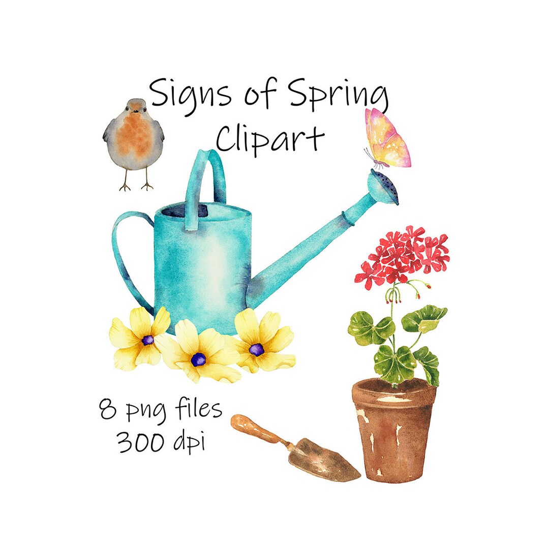 Watercolor Clipart Spring, Flowers, Butterfly, Bird, Watering Can, 8 ...