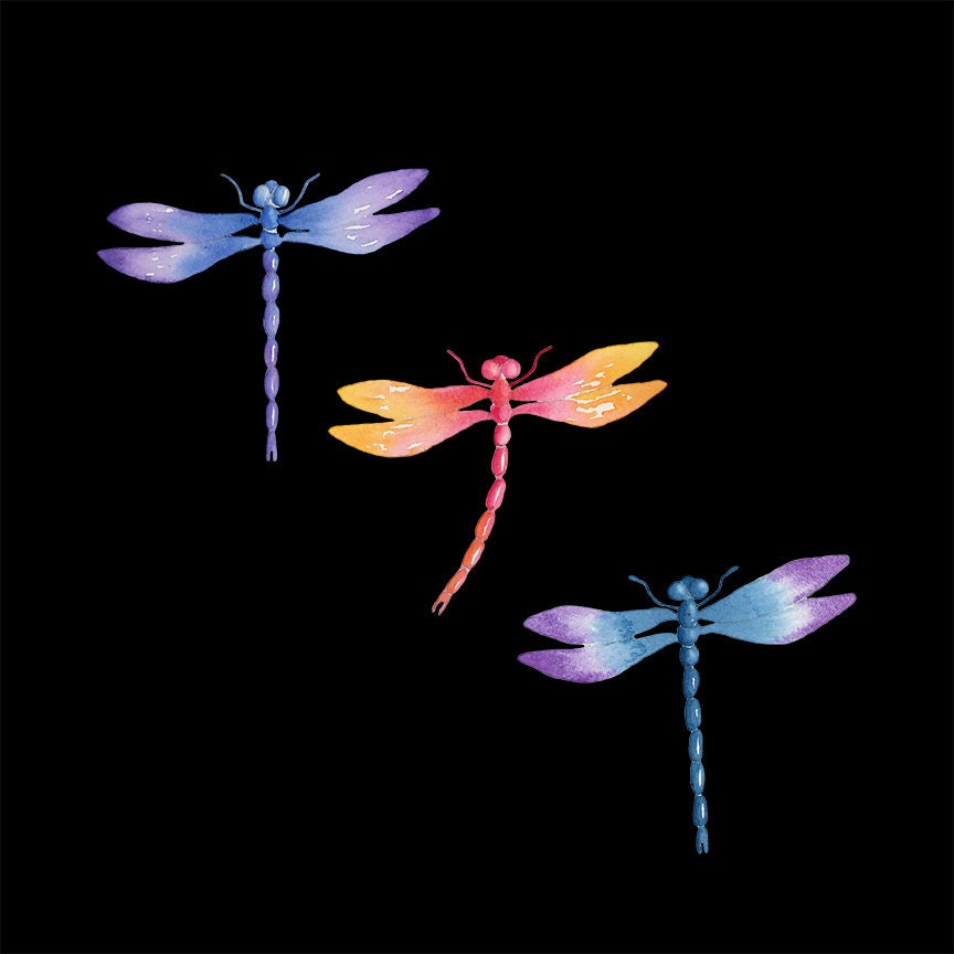 Watercolor Clipart Cattails & Dragonflies Clip Art, Hand Painted ...