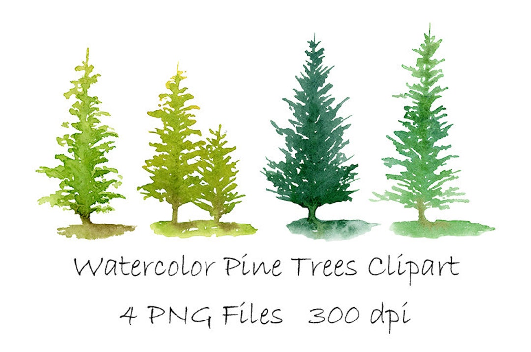 Watercolor Pine Trees Clipart, PNG Instant Download, Hand Painted Pine ...