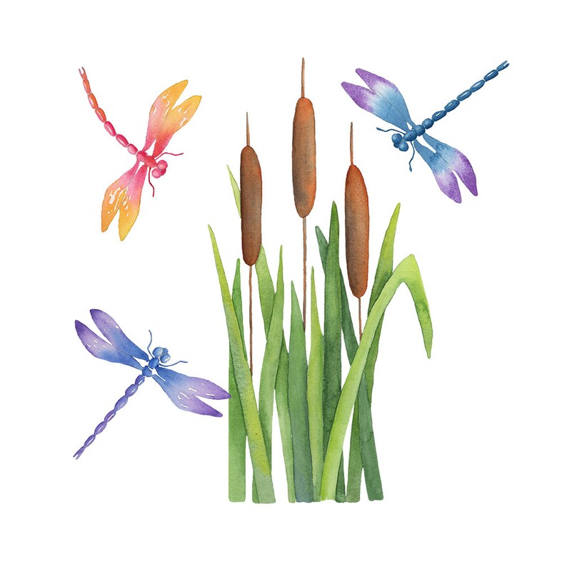 Watercolor Clipart Cattails & Dragonflies Clip Art, Hand Painted ...