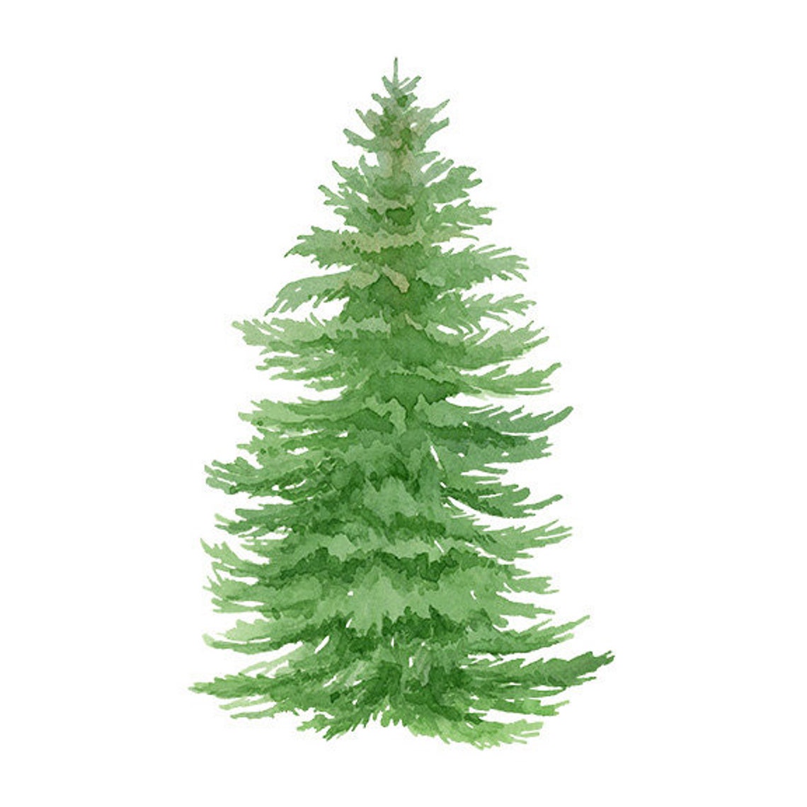 Watercolor Christmas Clipart Trees & Presents, Hand Painted Pine Trees ...