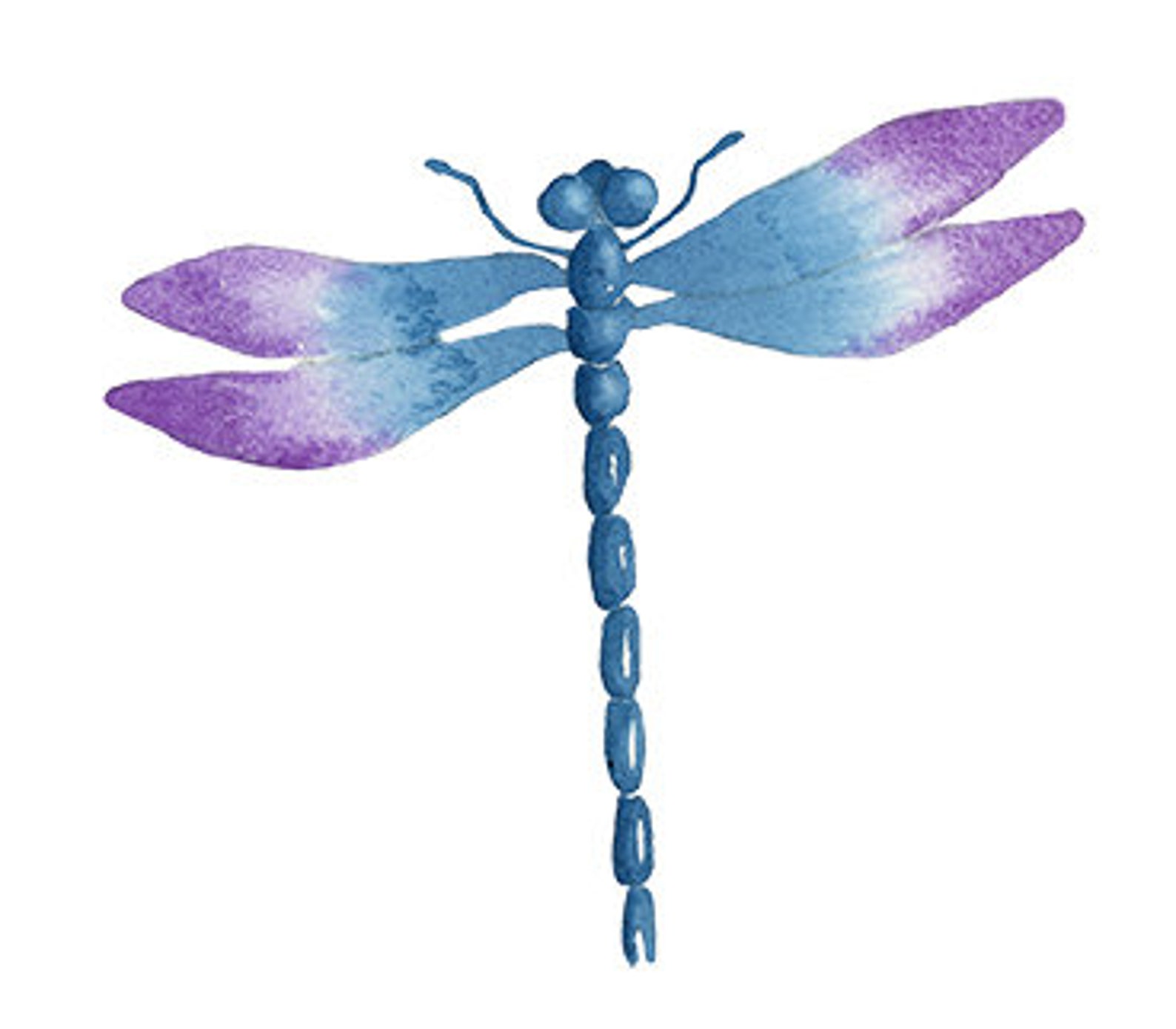 Watercolor Clipart Cattails & Dragonflies Clip Art, Hand Painted ...