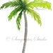 Watercolor Palm Tree Clipart, Tropical PNG Instant Download, Hand ...
