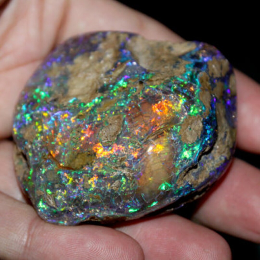 DRY Precious Opal Limb Cast Fossil, Partially Polished, Virgin Valley ...