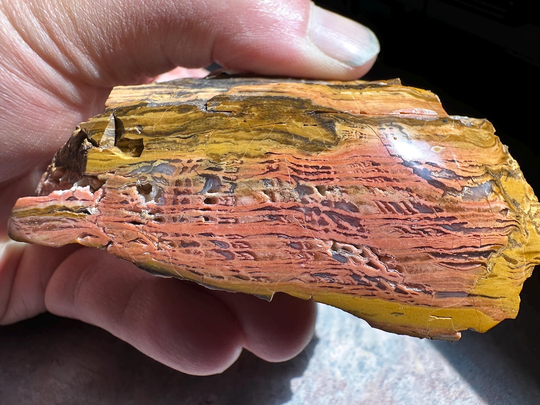 Pink RATTLESNAKE JASPER HOWARDITE Agate Polished Piece Old Stock ...