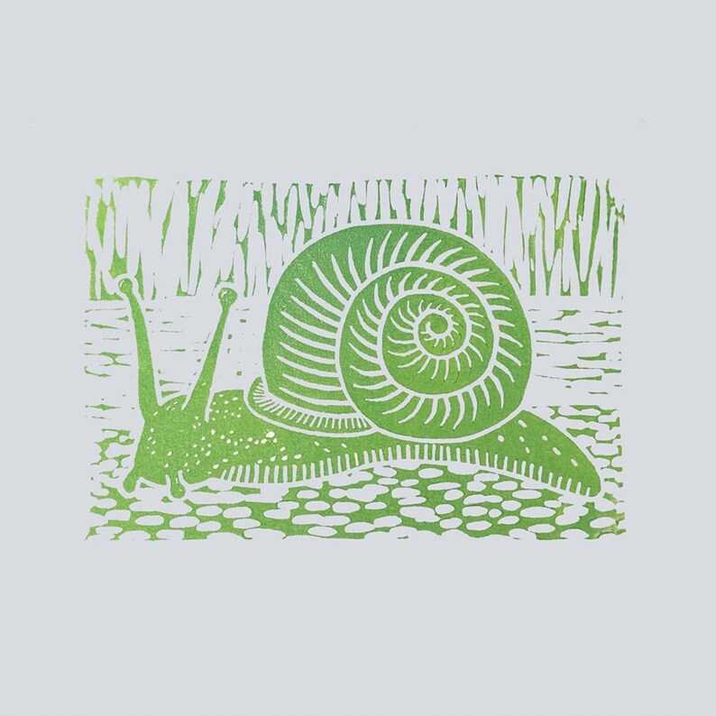 Snail - Linocut Illustration - Handmade Wall Art - Etsy