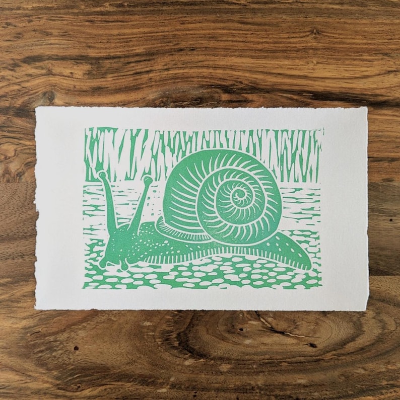 Snail - Linocut Illustration - Handmade Wall Art - Etsy