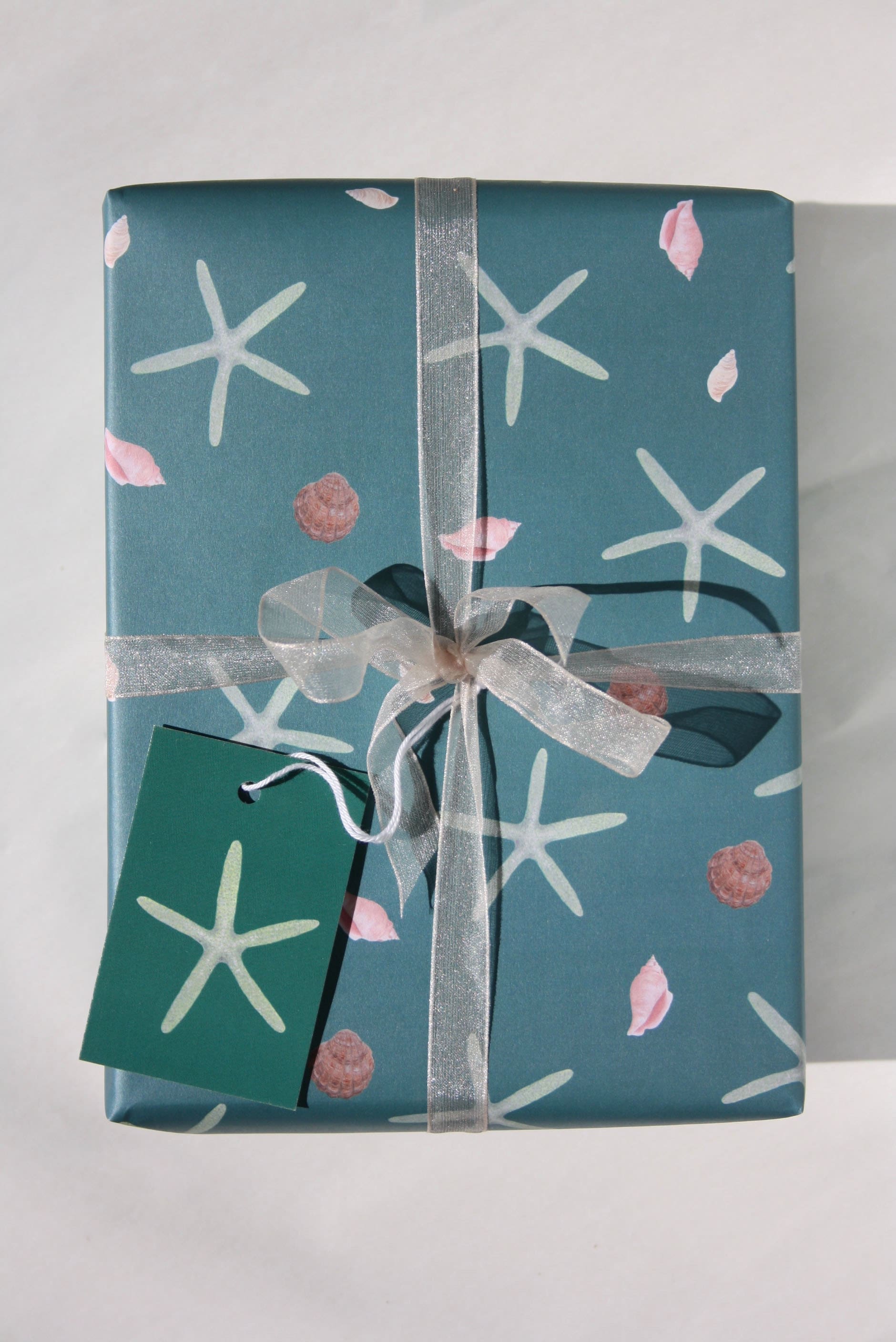 Seashell Wrapping Paper 50cmx70cm Sheet - Etsy UK
