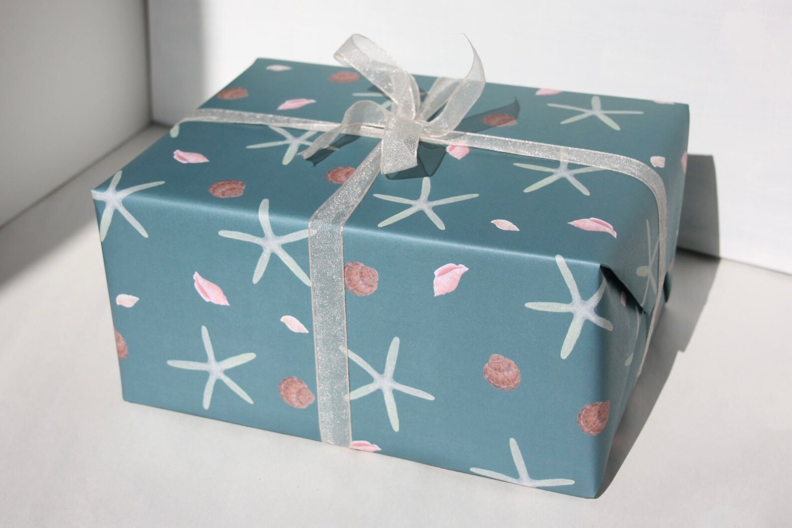 Seashell Wrapping Paper 50cmx70cm Sheet - Etsy UK