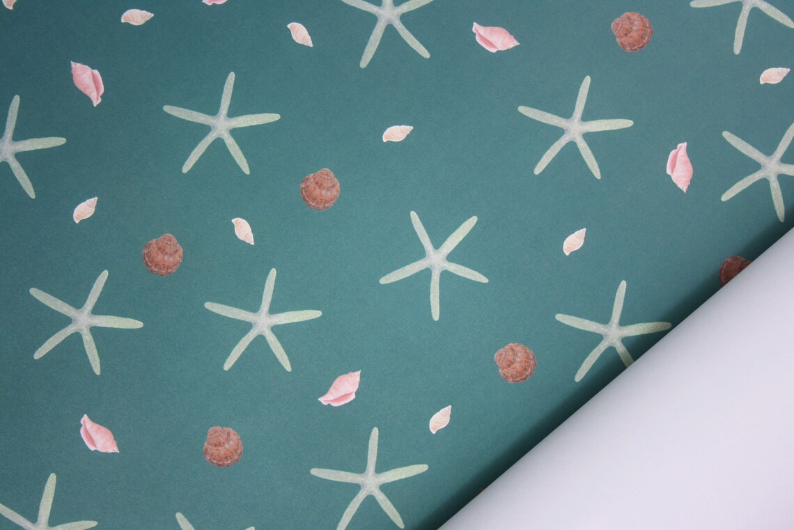 Seashell Wrapping Paper 50cmx70cm Sheet - Etsy UK