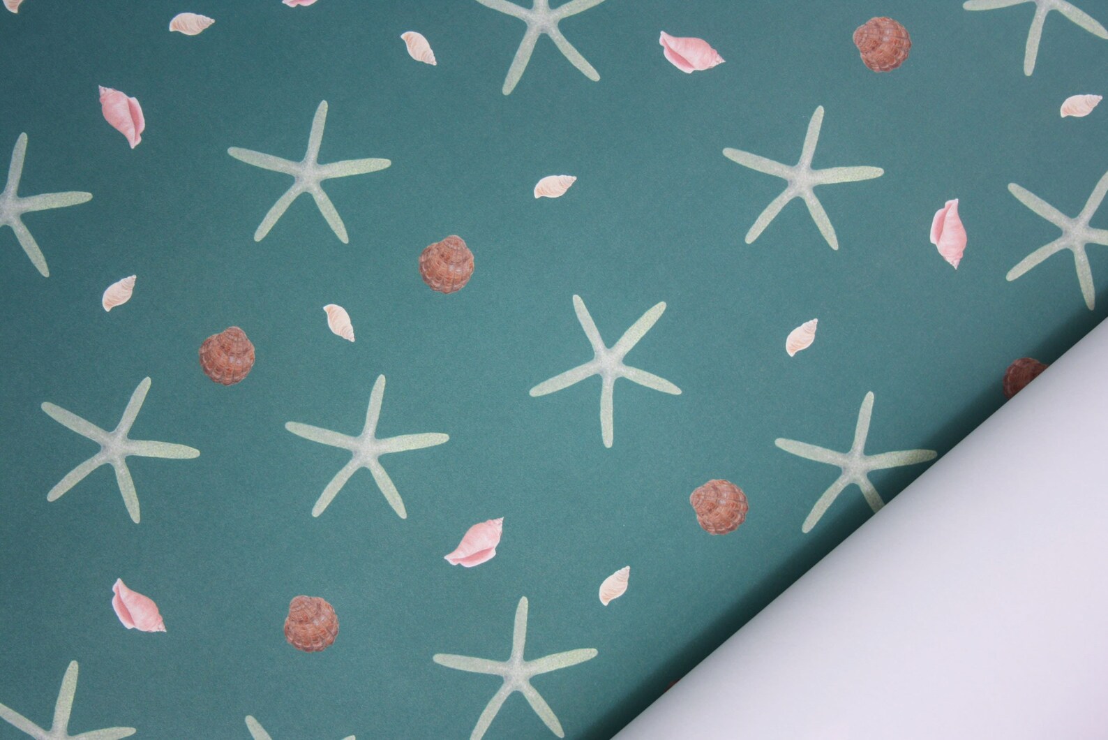 Seashell Wrapping Paper 50cmx70cm Sheet - Etsy UK