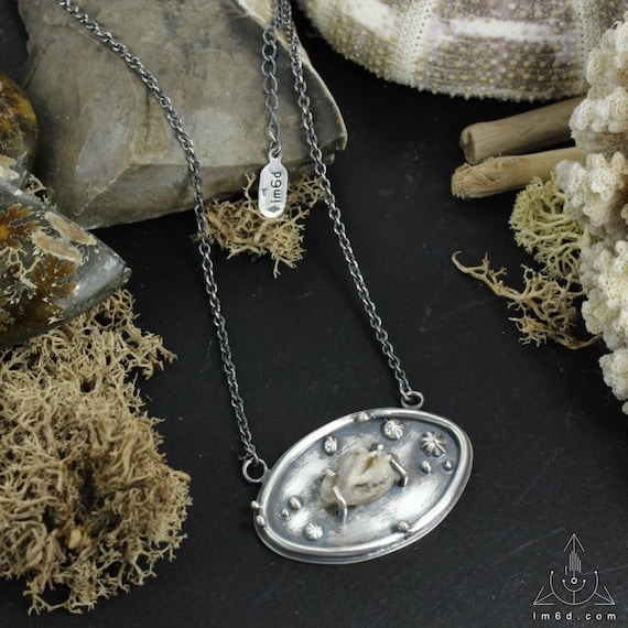 Amulet necklace with an amazing fossilized seashell handmade | Etsy