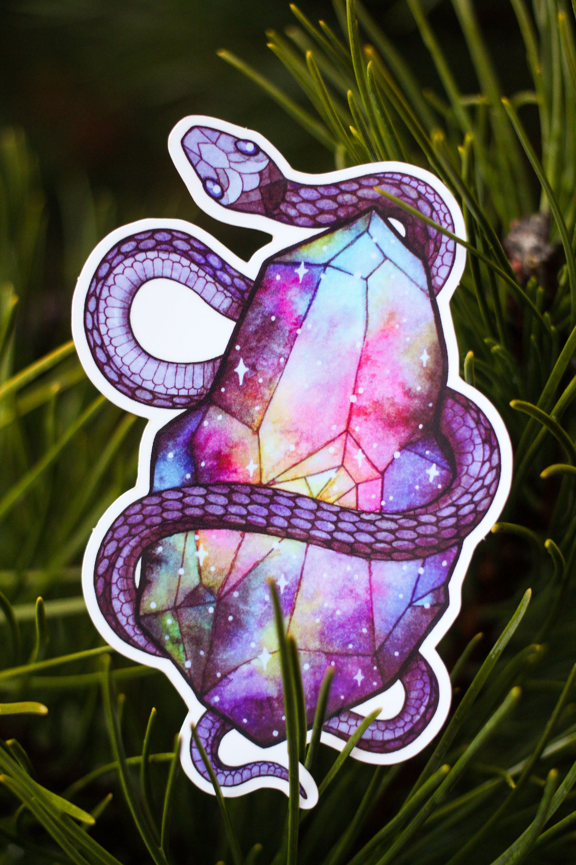 Explore The Snake Cosmic