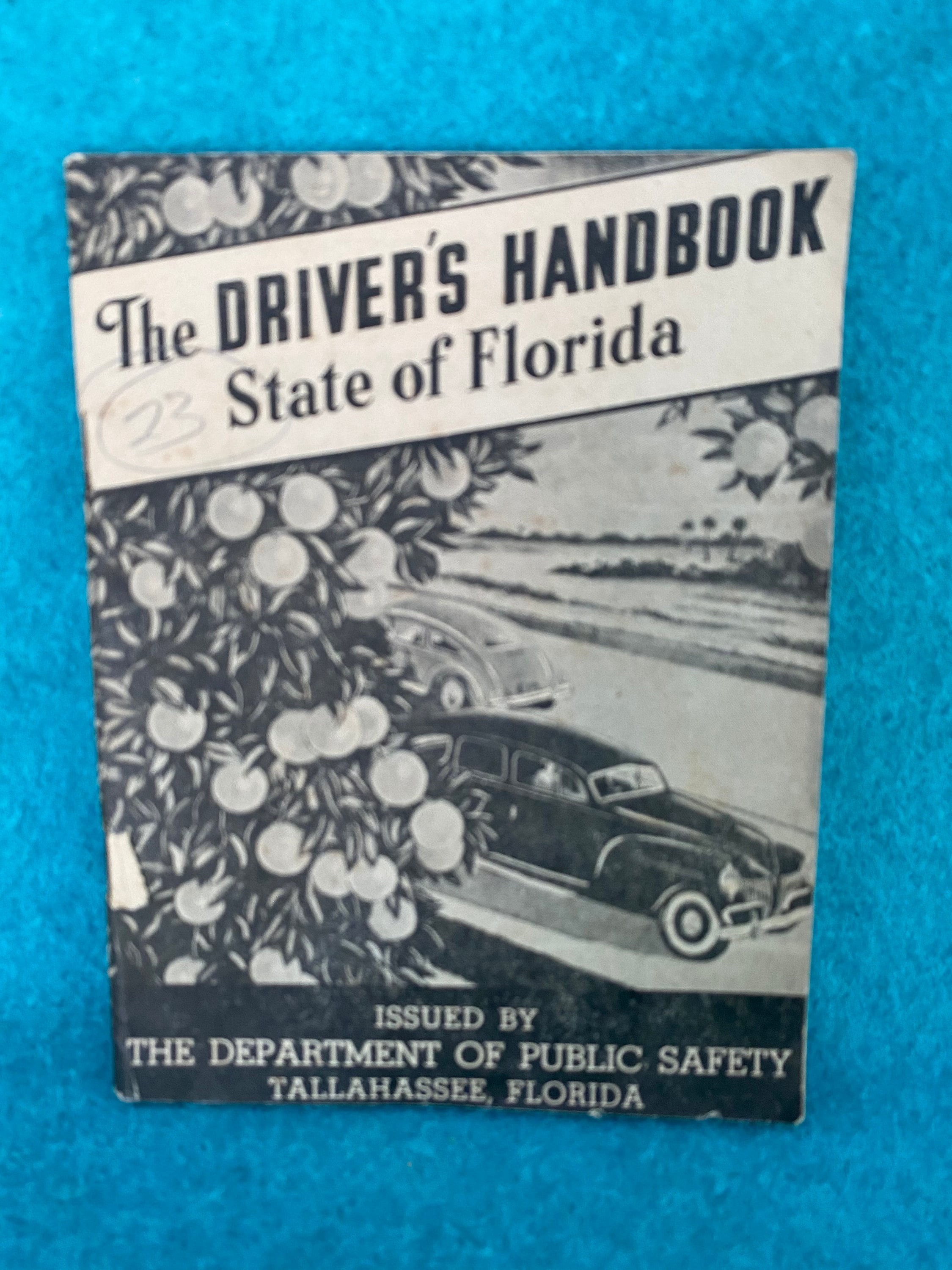 Pamphlet the Driver's Handbook State of Florida - Etsy