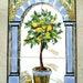 12 X 18 Hand Painted Citrus Lemon Tree Ceramic Tile Art Wall Mural ...