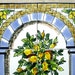 12 X 18 Hand Painted Citrus Lemon Tree Ceramic Tile Art Wall Mural ...