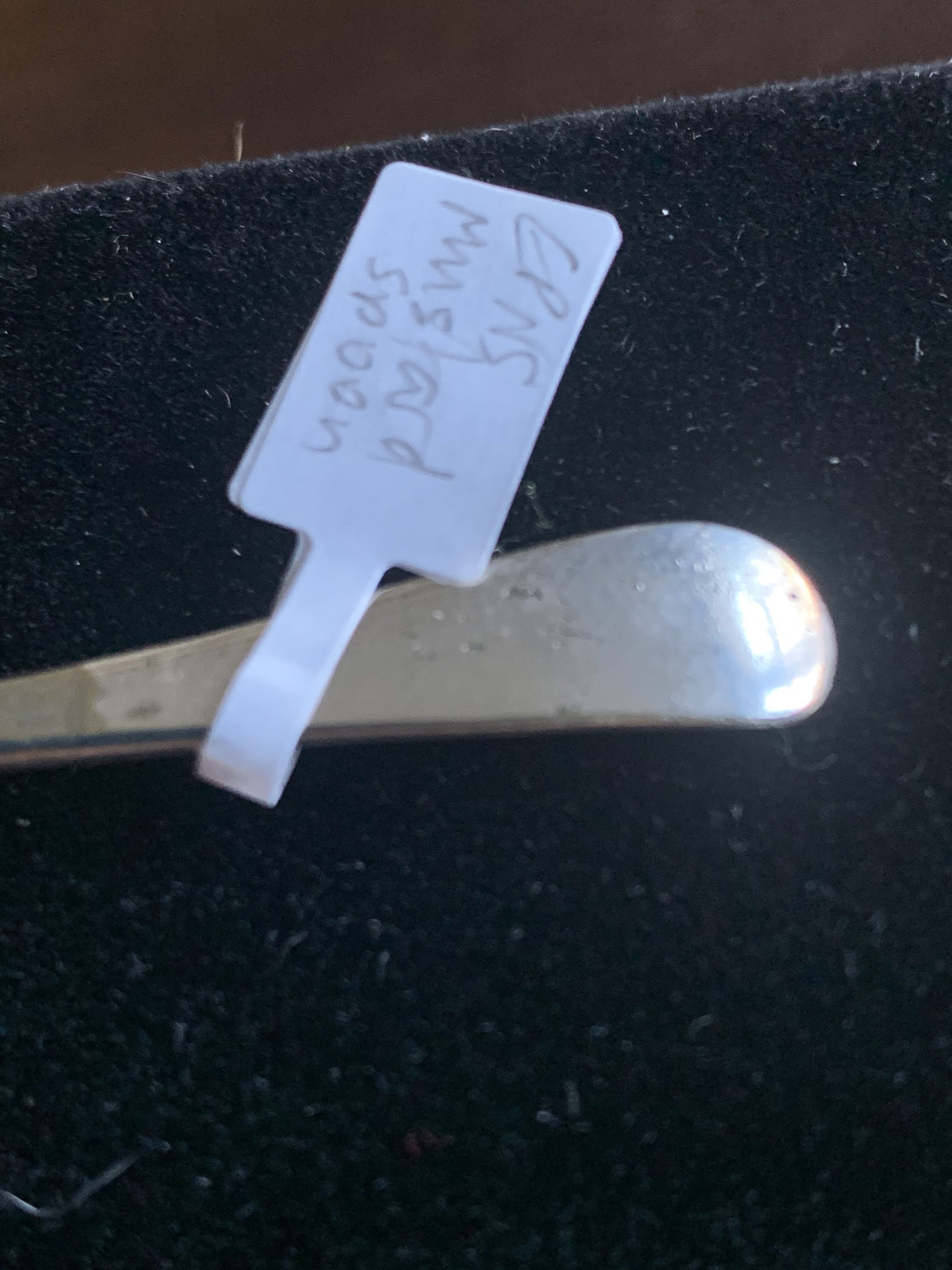 Vintage EPNS Mustard Spoon - Etsy