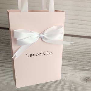 Favor Bags. Blush/pale Pink Small Elegant Goodie Bags With Satin Ribbon ...