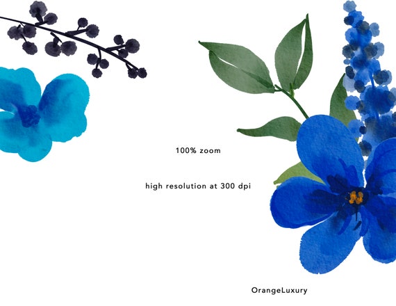 Indigo Plant Clipart