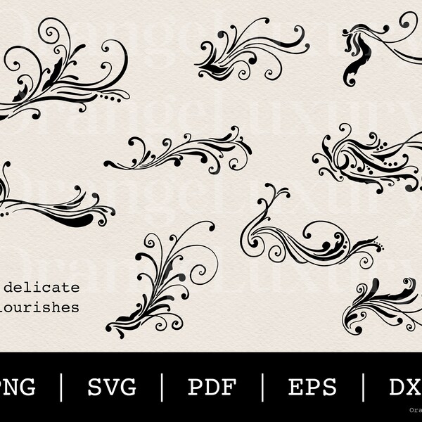 Flourish Swirl Svg - Etsy
