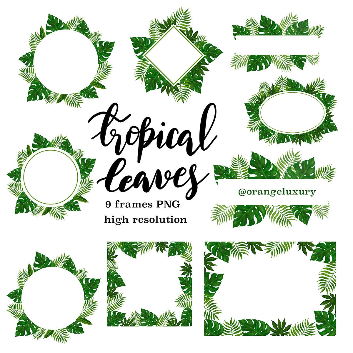 Green Border Frame