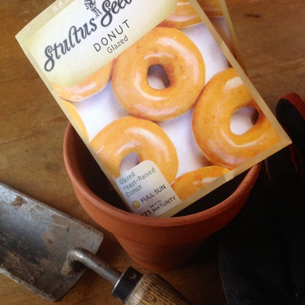 Donut Seeds - Etsy