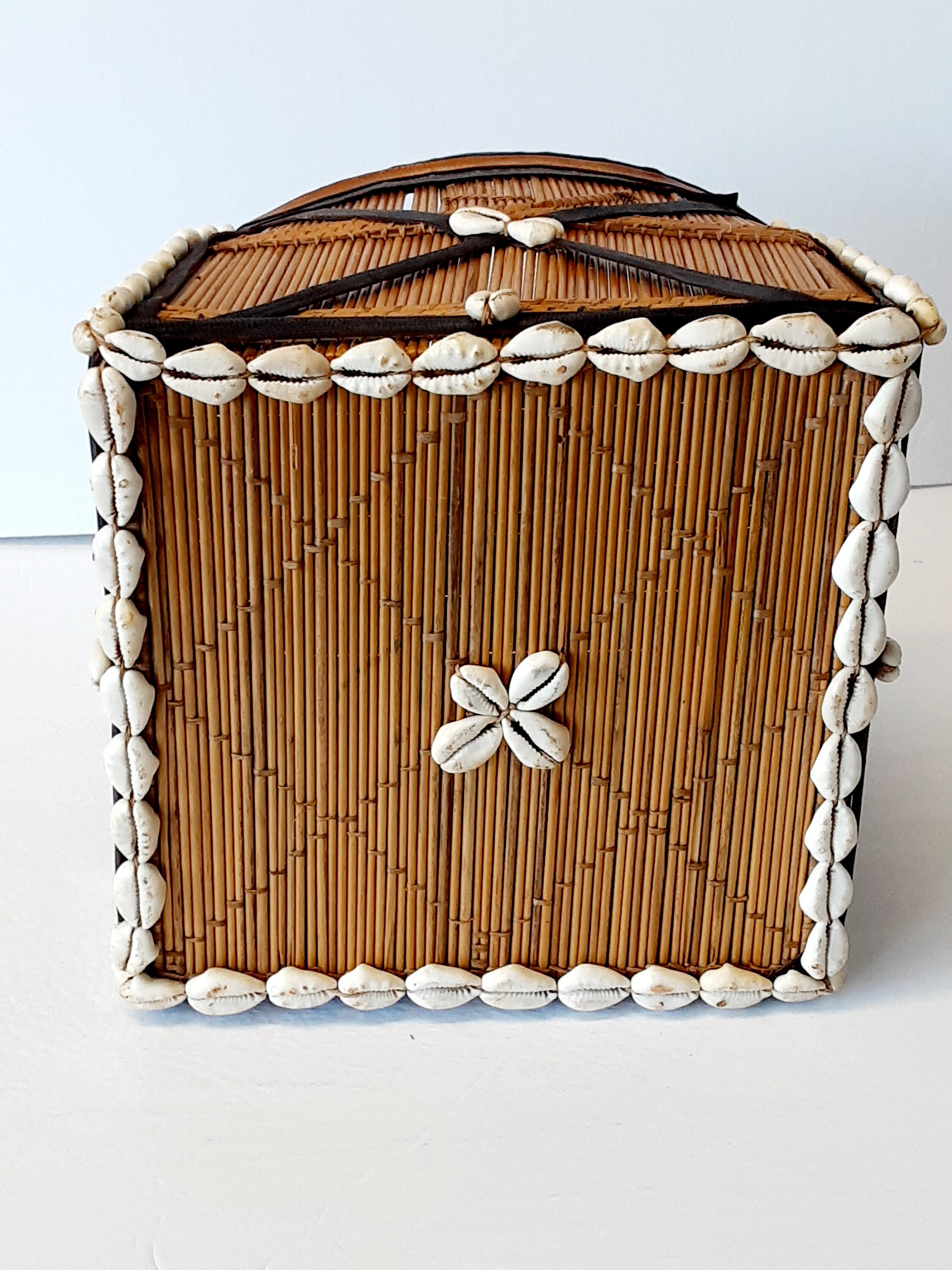 Vintage Beautiful Pacific Islands Polynesia Cowrie Shells | Etsy