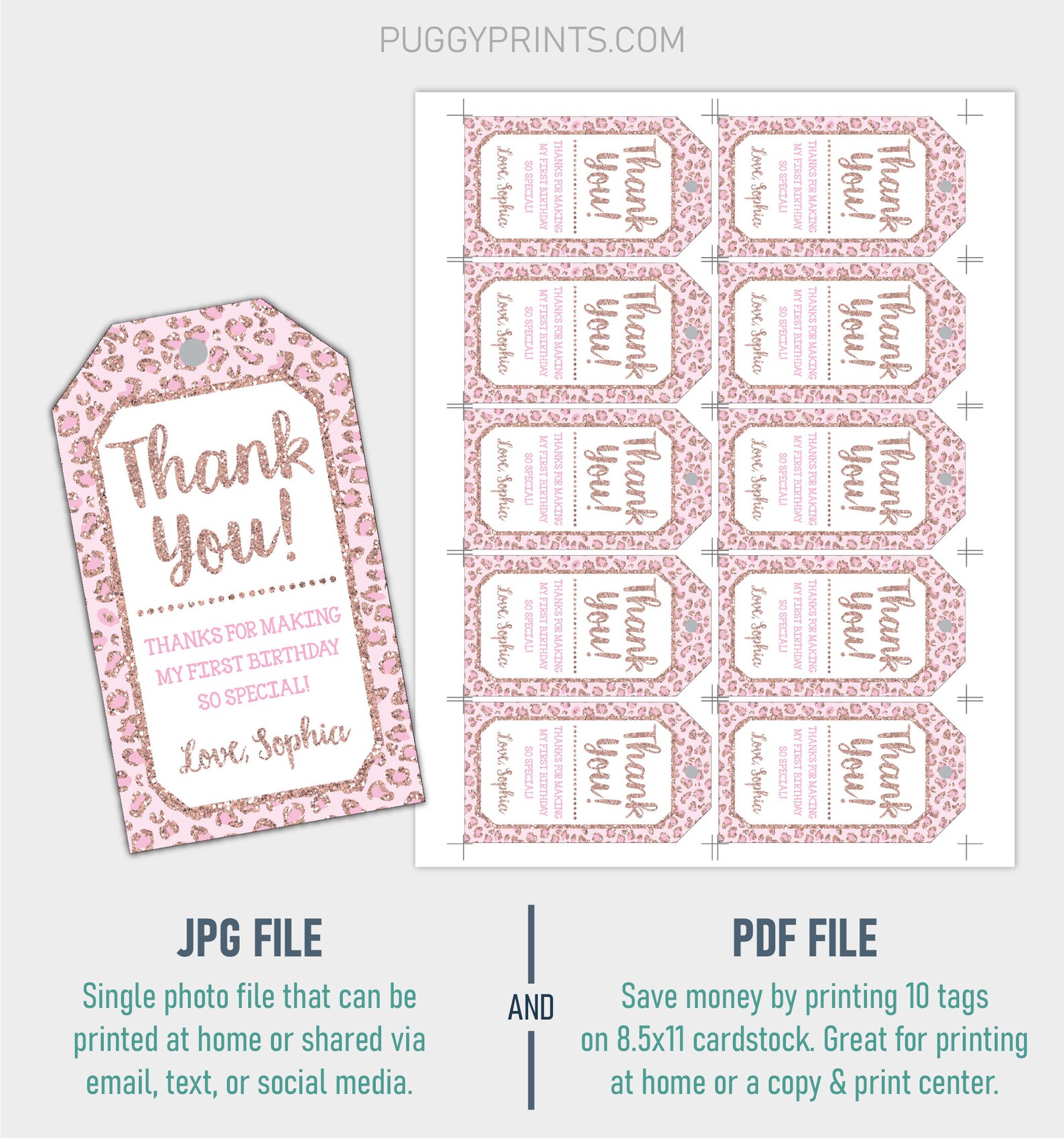 Cheetah Birthday Party Favor Tags Editable Cheetah Favor Tags - Etsy