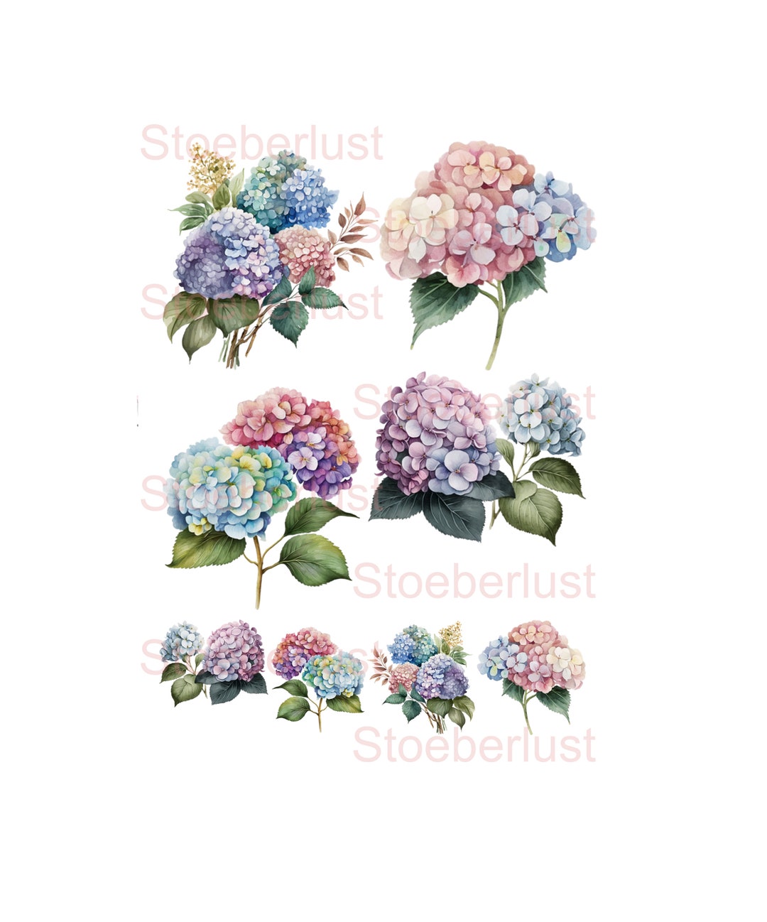 8 X Hydrangeas - Hydrangea A4 Decal Film or as Rub on Sticker, Laser ...