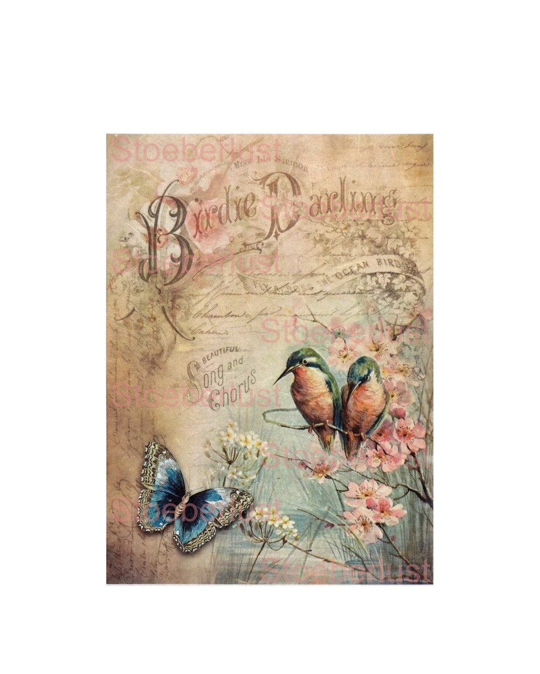 Birdie Darling 2 Shabby Colorful Decal, Water Slide Decal Waterproof ...