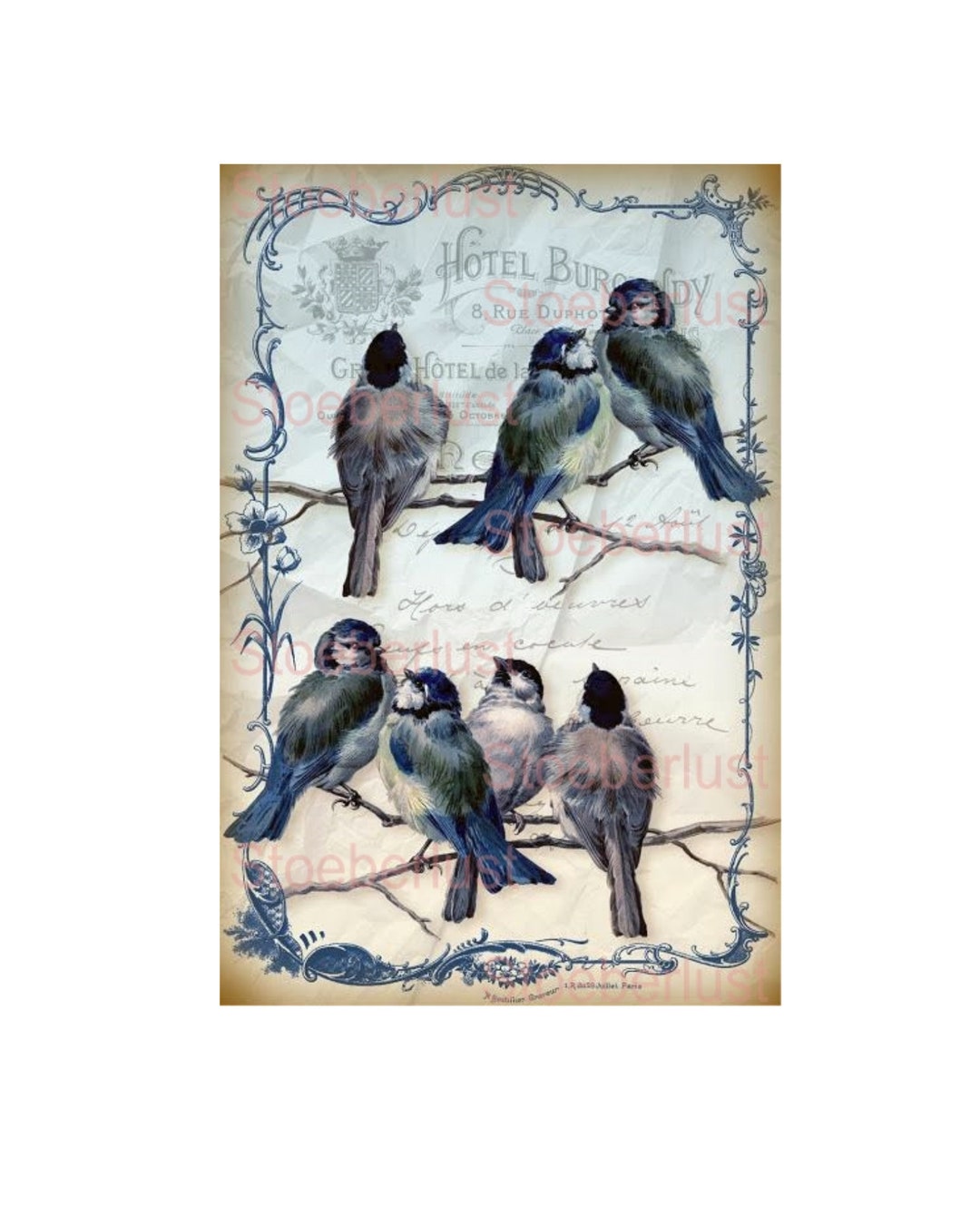 Blue Birds in Frame on A4 or Smaler Rub on Classic or Decalfolie ...
