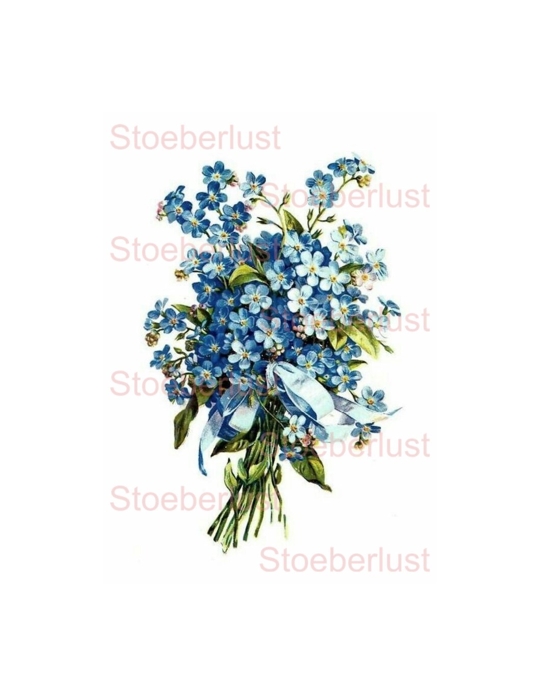 Rub on Sticker or Decal Forget-me-nots Furniture Tattoo, Vintage Art ...