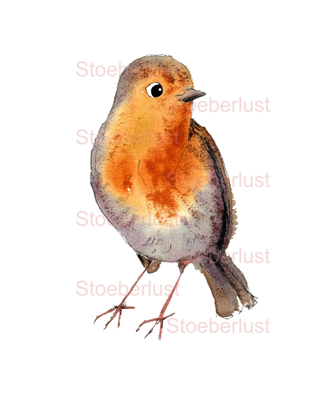 Robin Watercolor on A4 Water Slide Decal Laser Waterproof Image ...