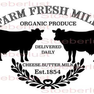 Rub on Sticker or Waterslide Cows With the Inscription Farm Fresh Milk ...
