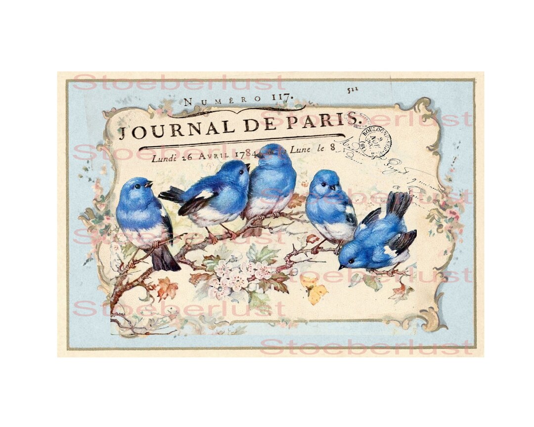 Blue Birds in a Frame Shabby Chic, Rub on Classic - Waterslide Transfer ...