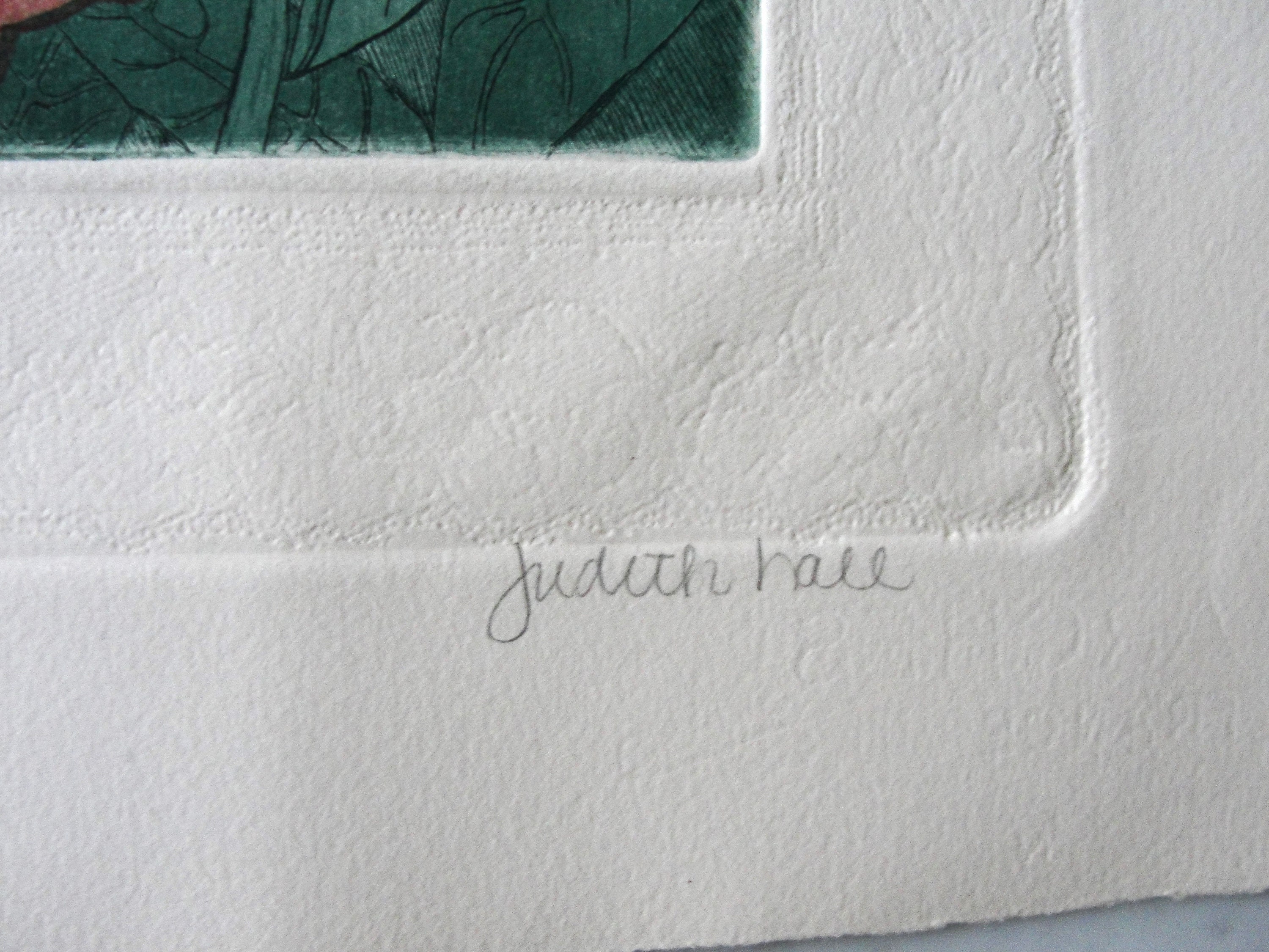 Vintage 2 Signed Large Art Prints Judith Hall Hummingbirds | Etsy