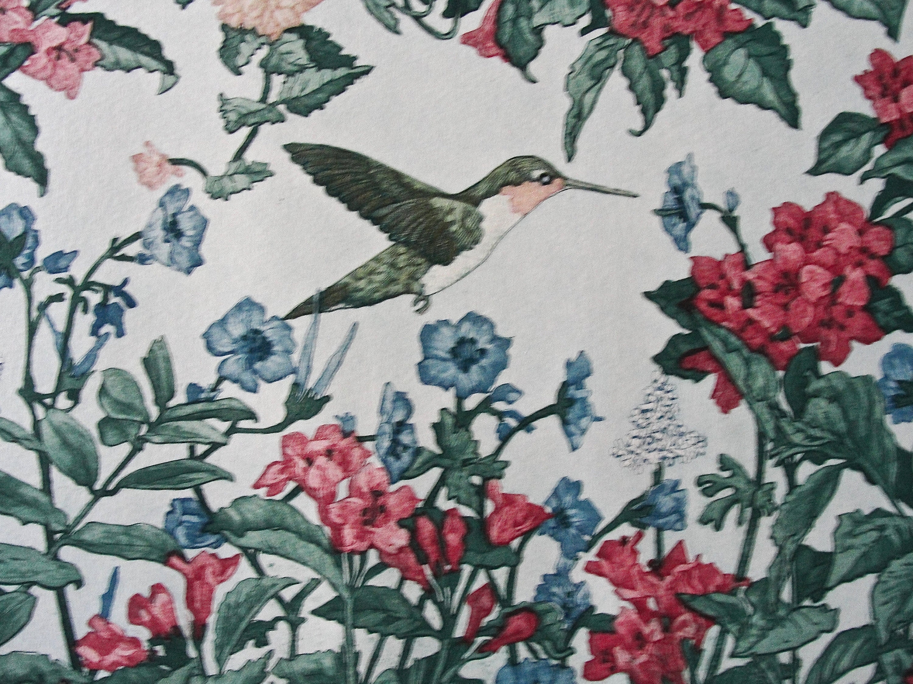 Vintage 2 Signed Large Art Prints Judith Hall Hummingbirds | Etsy