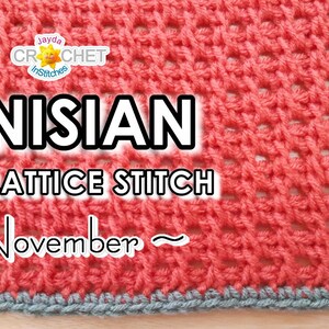 Tunisian Lacy Lattice Stitch Crochet PATTERN PDF - November 12" Totally ...