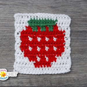 Strawberry Graph Crochet PATTERN PDF - Fair Isle Style PLUS Series ...