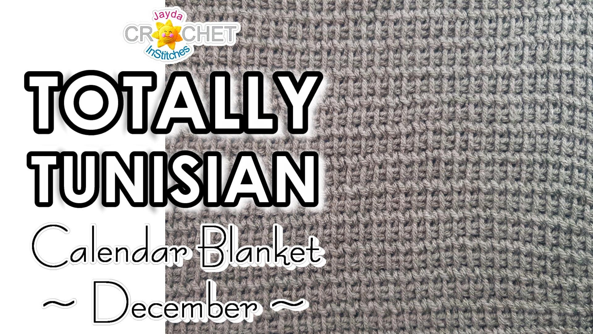Tunisian Extended Simple Stitch Crochet PATTERN PDF - December 12 ...