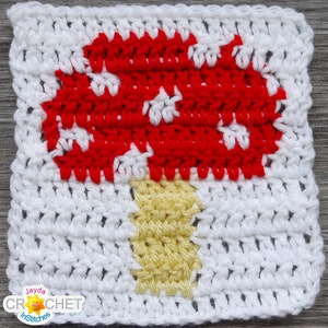 Toadstool Mushroom Graph Crochet PATTERN PDF - Fair Isle Style PLUS ...